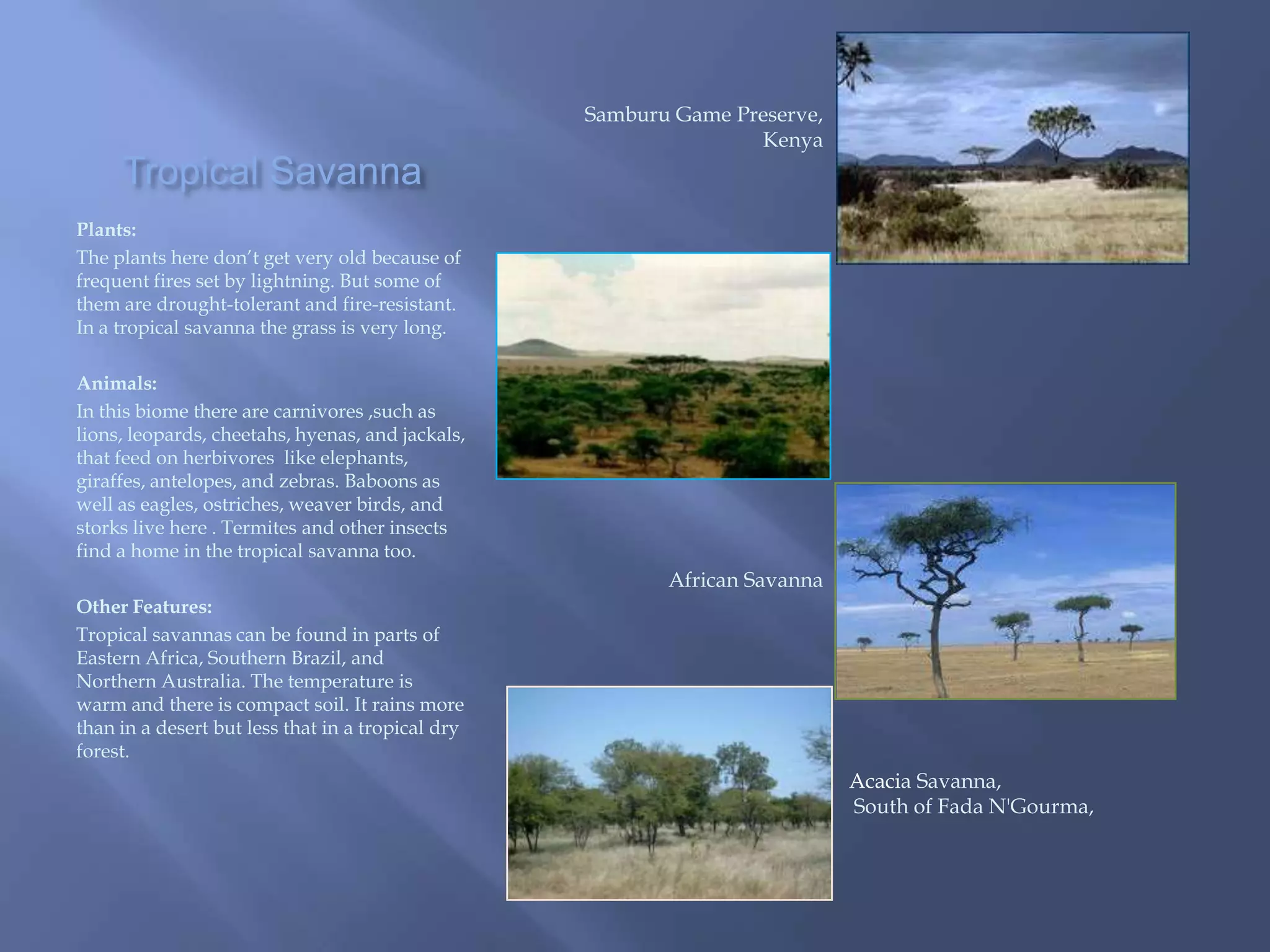 Biomes presentation | PPTX