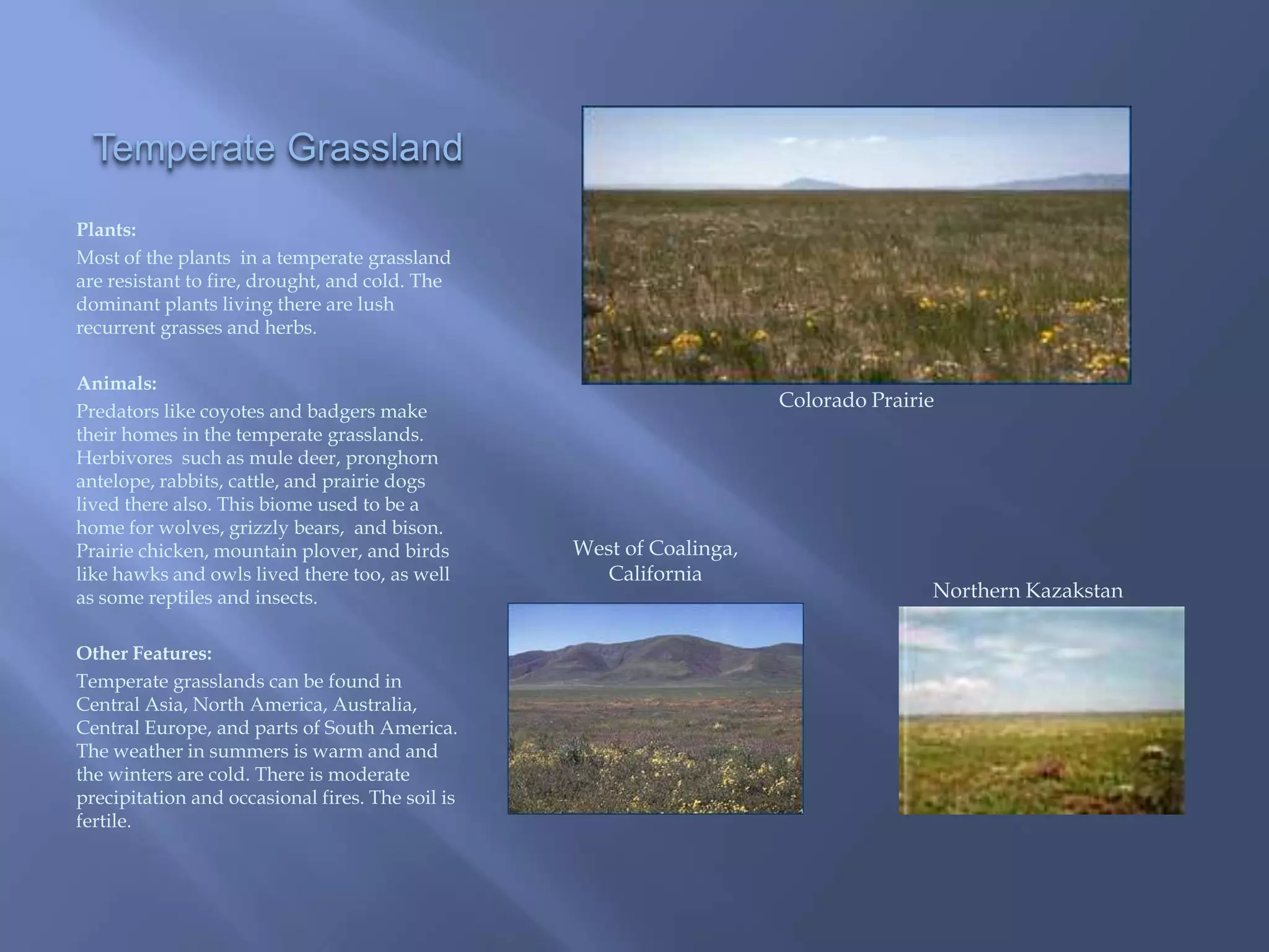 Biomes presentation | PPTX