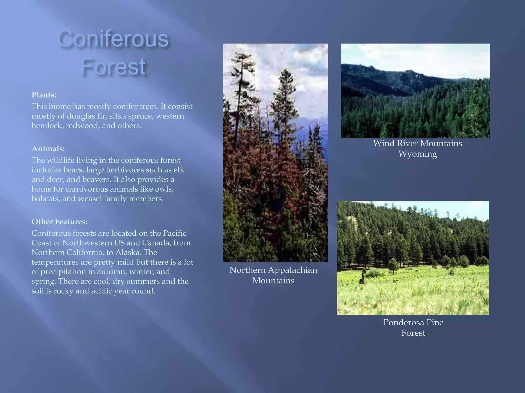 Biomes presentation | PPTX