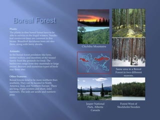 Biomes presentation | PPTX