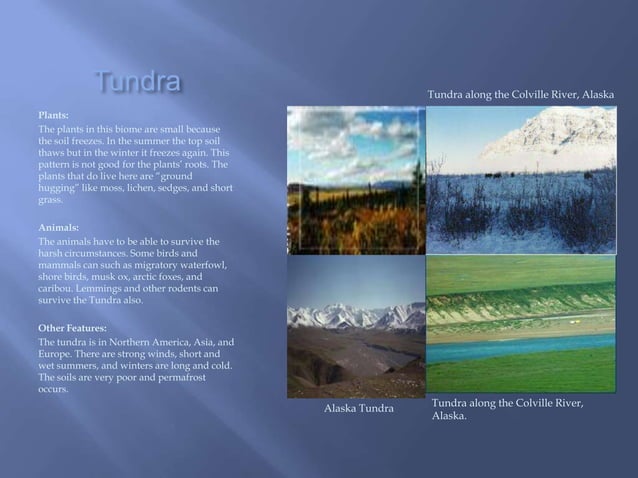 Biomes presentation | PPT