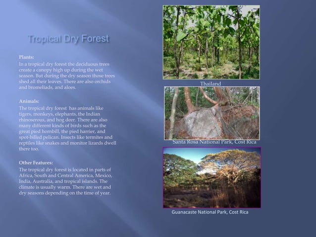Biomes presentation | PPT