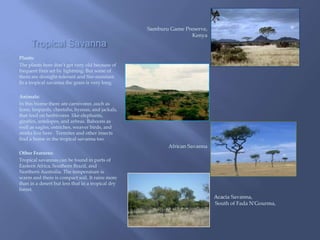 Biomes presentation | PPTX