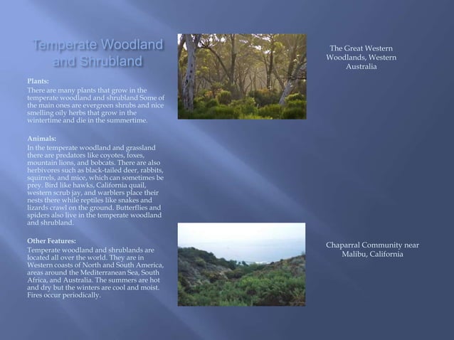 Biomes presentation | PPT
