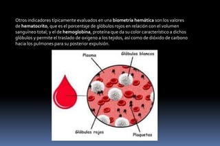 BIOMETRIA HEMATICA.pptx