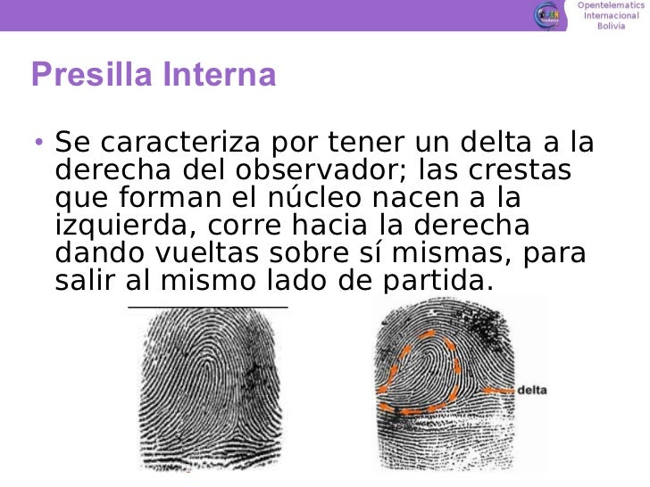 Biometria de Huella Dactilar - Dactiloscopia