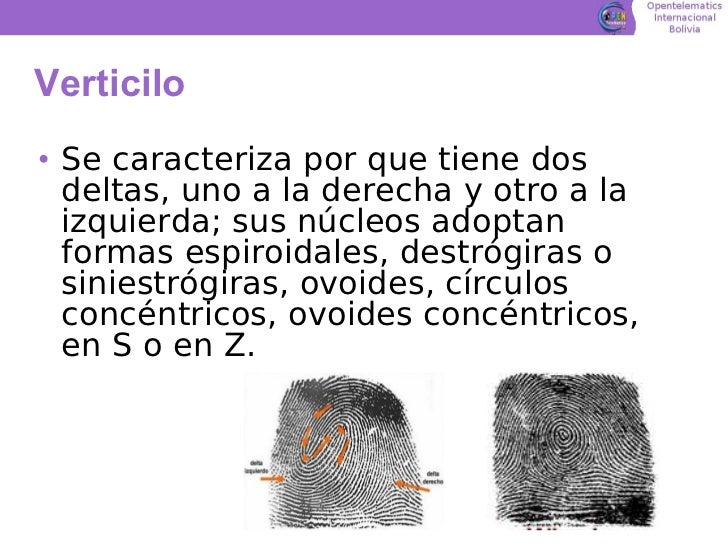 Biometria de Huella Dactilar - Dactiloscopia