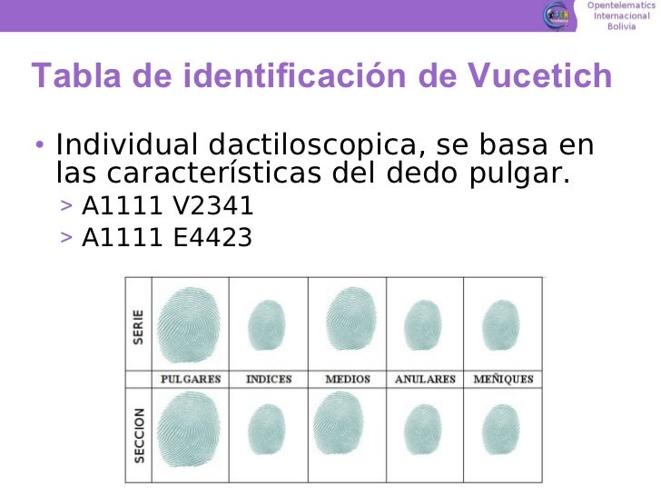 Biometria de Huella Dactilar - Dactiloscopia