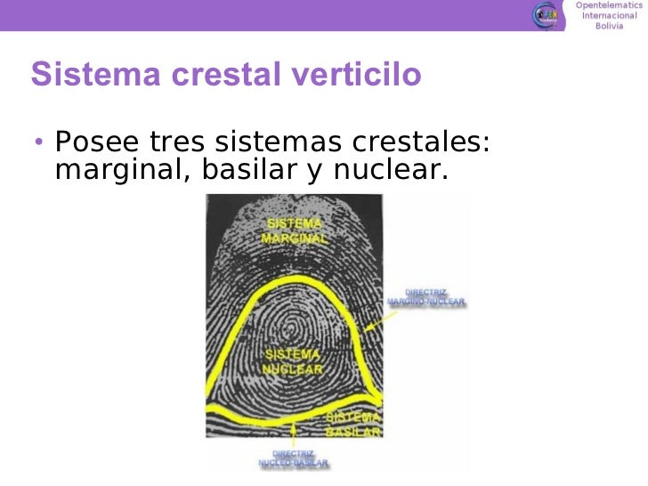 Biometria de Huella Dactilar - Dactiloscopia