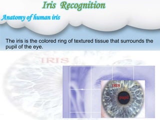 Biometric authentication | PPT