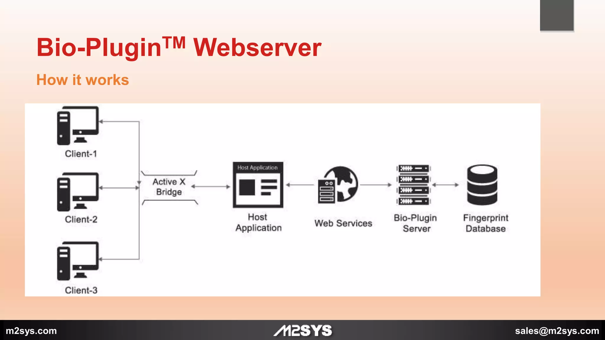 Biometric Authentication In Web Application Ppt