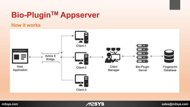 Biometric Authentication In Web Application Ppt