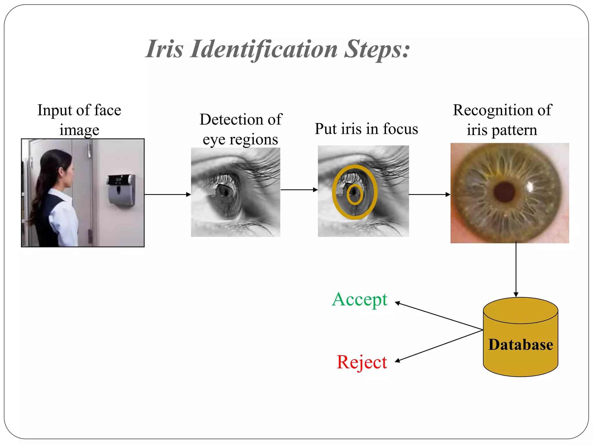 Biometric Authentication PPT | PPTX