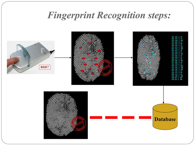 Biometric Authentication PPT | PPTX | Technology & Computing