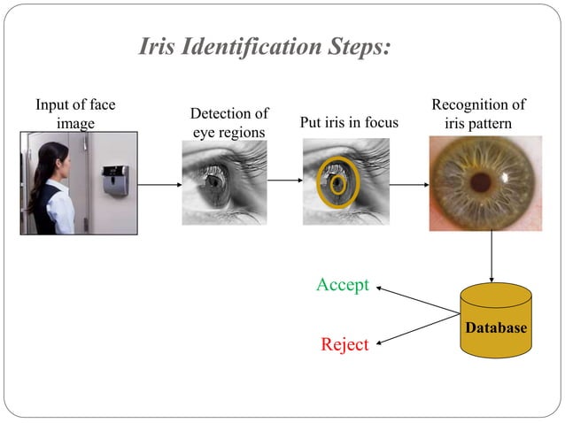 Biometric Authentication PPT | PPTX | Technology & Computing