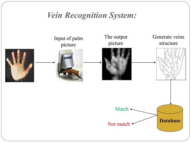 Biometric Authentication Ppt Pptx Technology And Computing