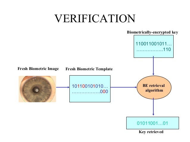 Biometric Encryption