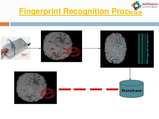 Biometric Recognition Technologies and Biometric Applications