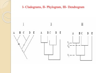 Numerical Taxonomy & Biometrics.pdf