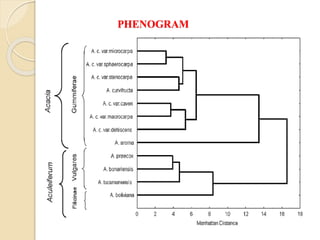 Numerical Taxonomy & Biometrics.pdf
