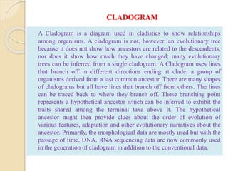 Numerical Taxonomy & Biometrics.pdf