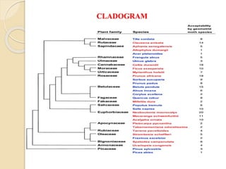 Numerical Taxonomy & Biometrics.pdf