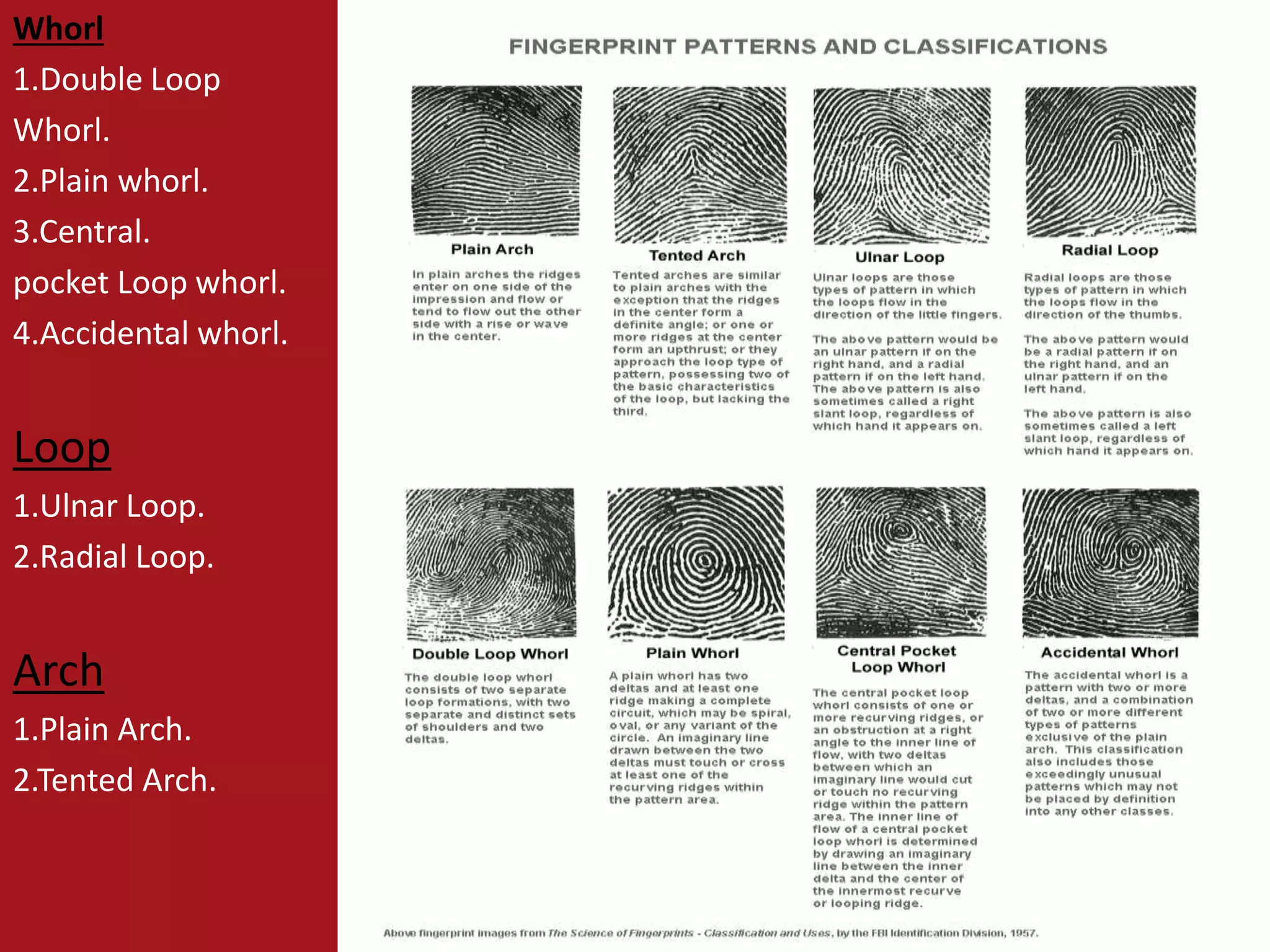 Biometrics fingerprint | PPT