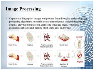Biometrics fingerprint | PPT