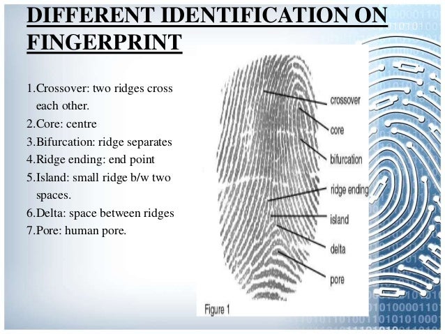 Biometrics fingerprint