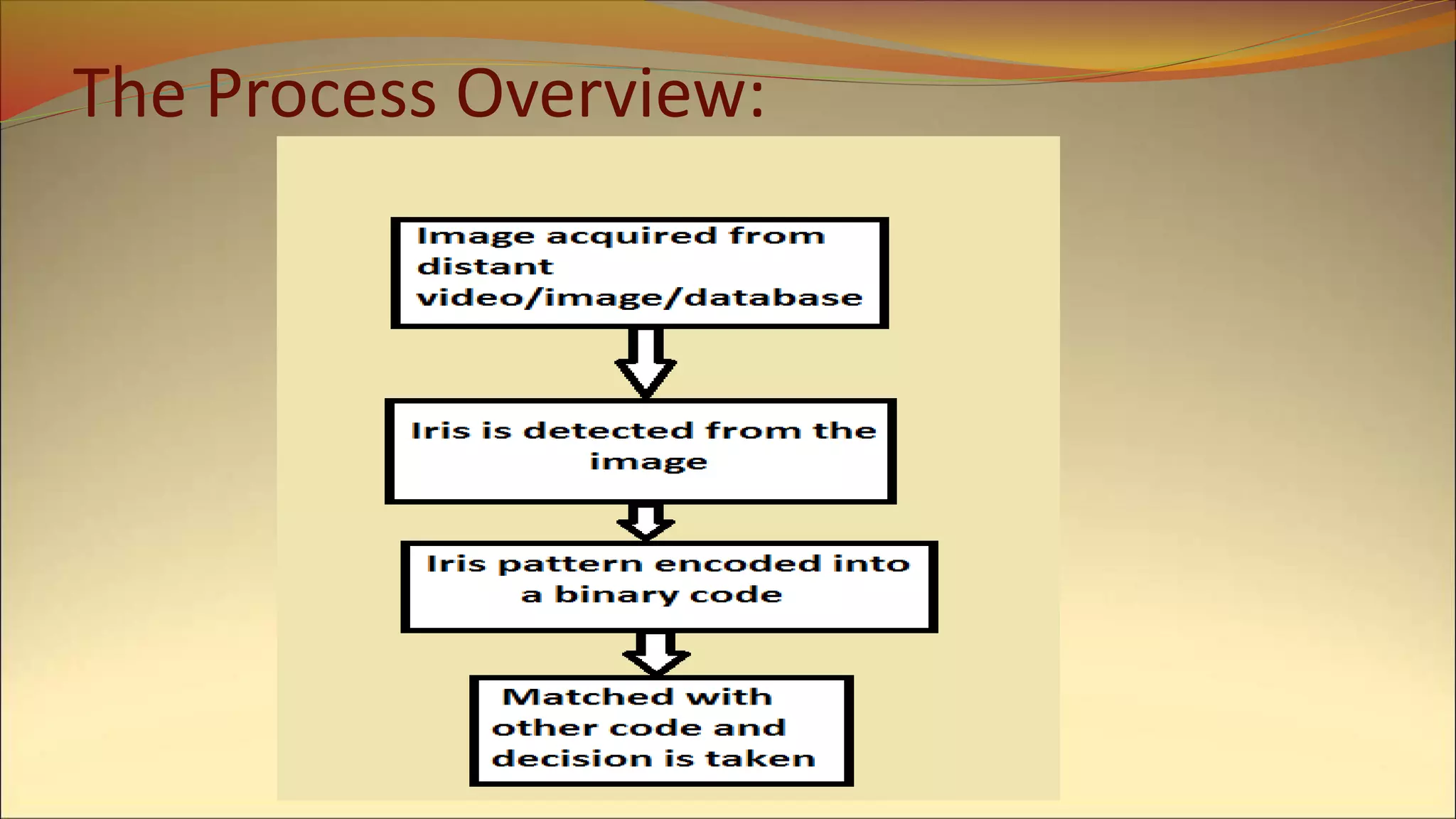 Biometrics iris recognition | PPTX
