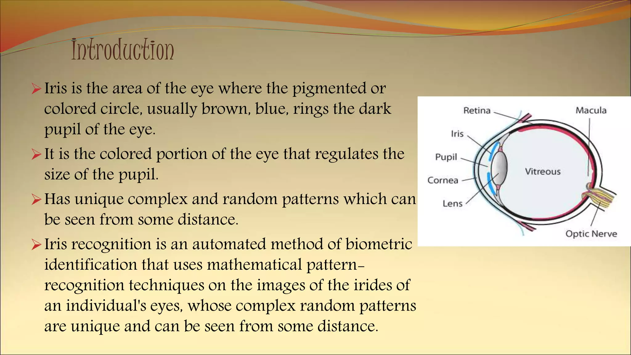 Biometrics iris recognition | PPTX