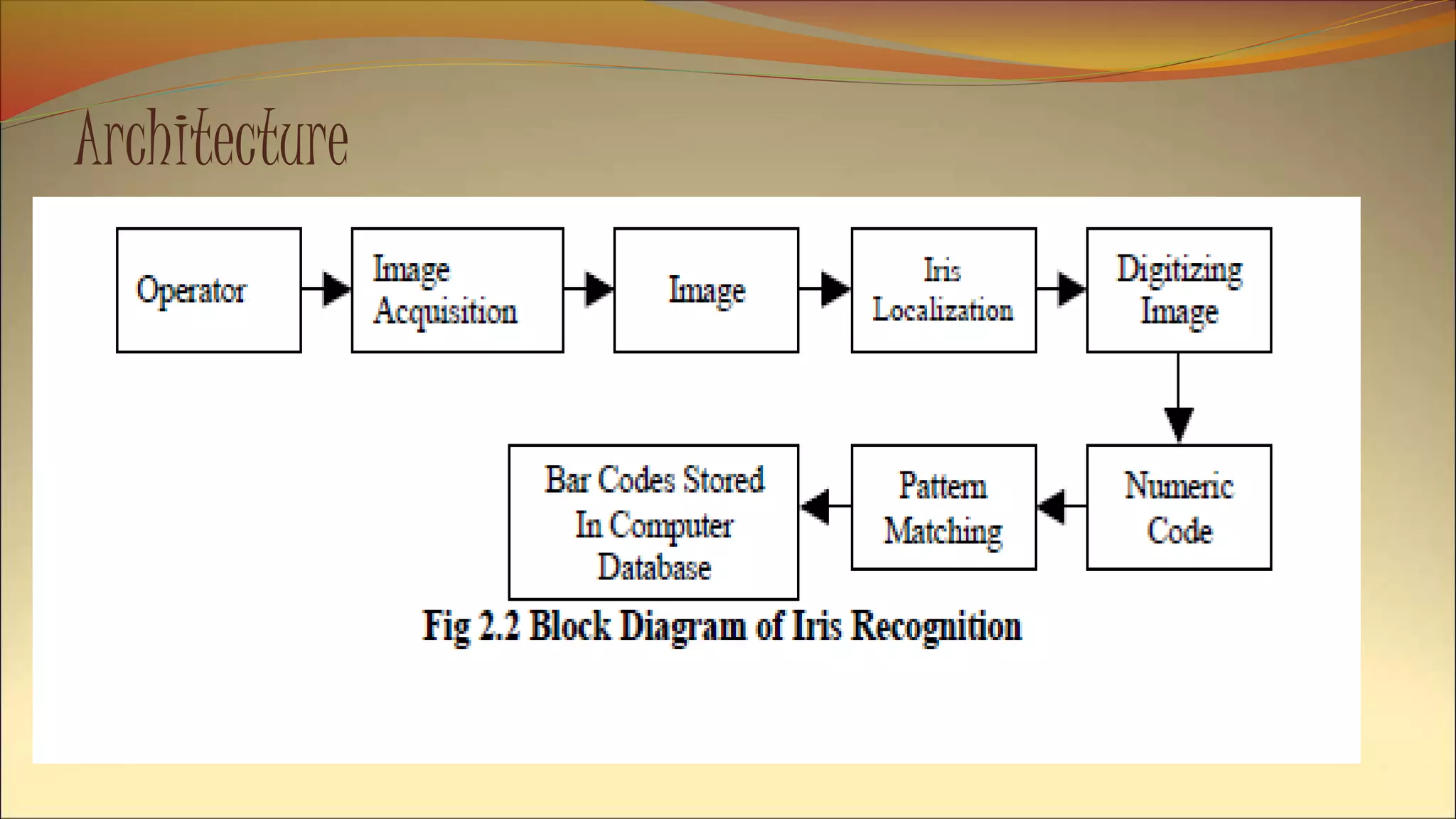 Biometrics Iris Recognition Pptx 8178