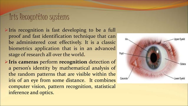 Biometrics iris recognition | PPT
