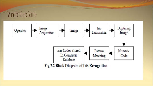 Biometrics Iris Recognition Pptx Eye And Vision Conditions