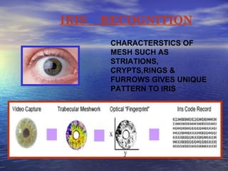 Biometric slideshare | PPT