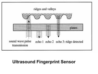 Biometrics ppt | PPT