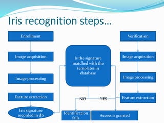 Biometrics technology ravi kumar | PPTX