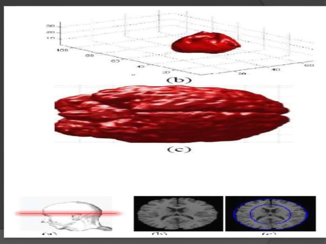 Biometrics verification techniques combine | PPT