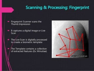 Biometric voting machine | PPT