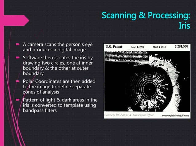 Biometric Voting System Pptx