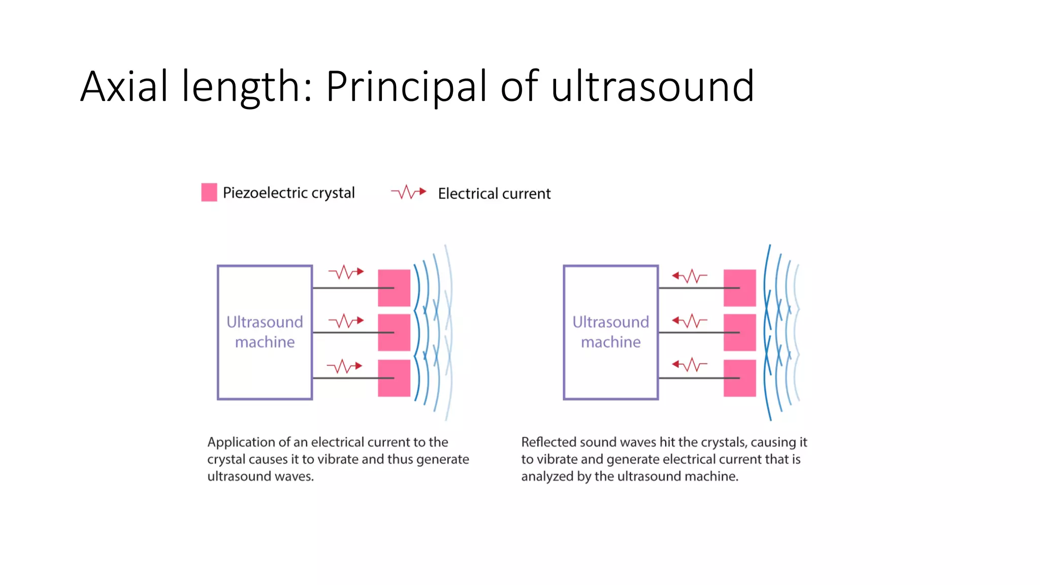 Biometry made easy | PDF