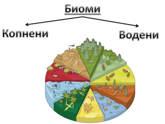 Biomi na Zemlji
