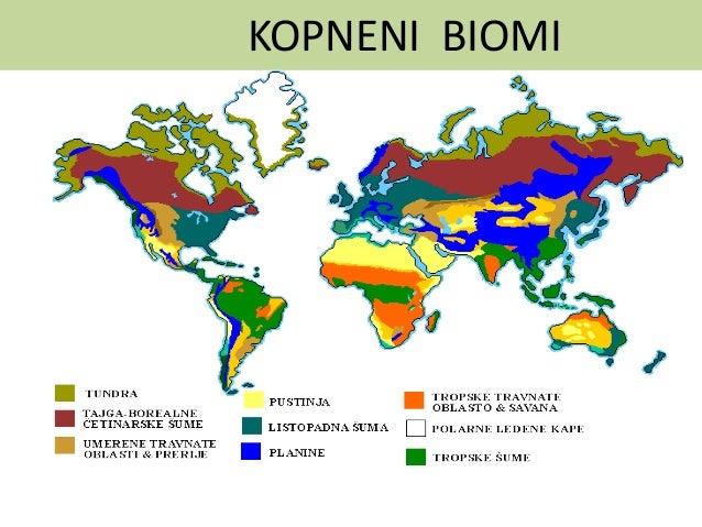 Biomi, Životne oblasti na planeti