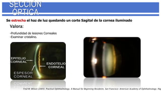 Biomicroscopia.pptx