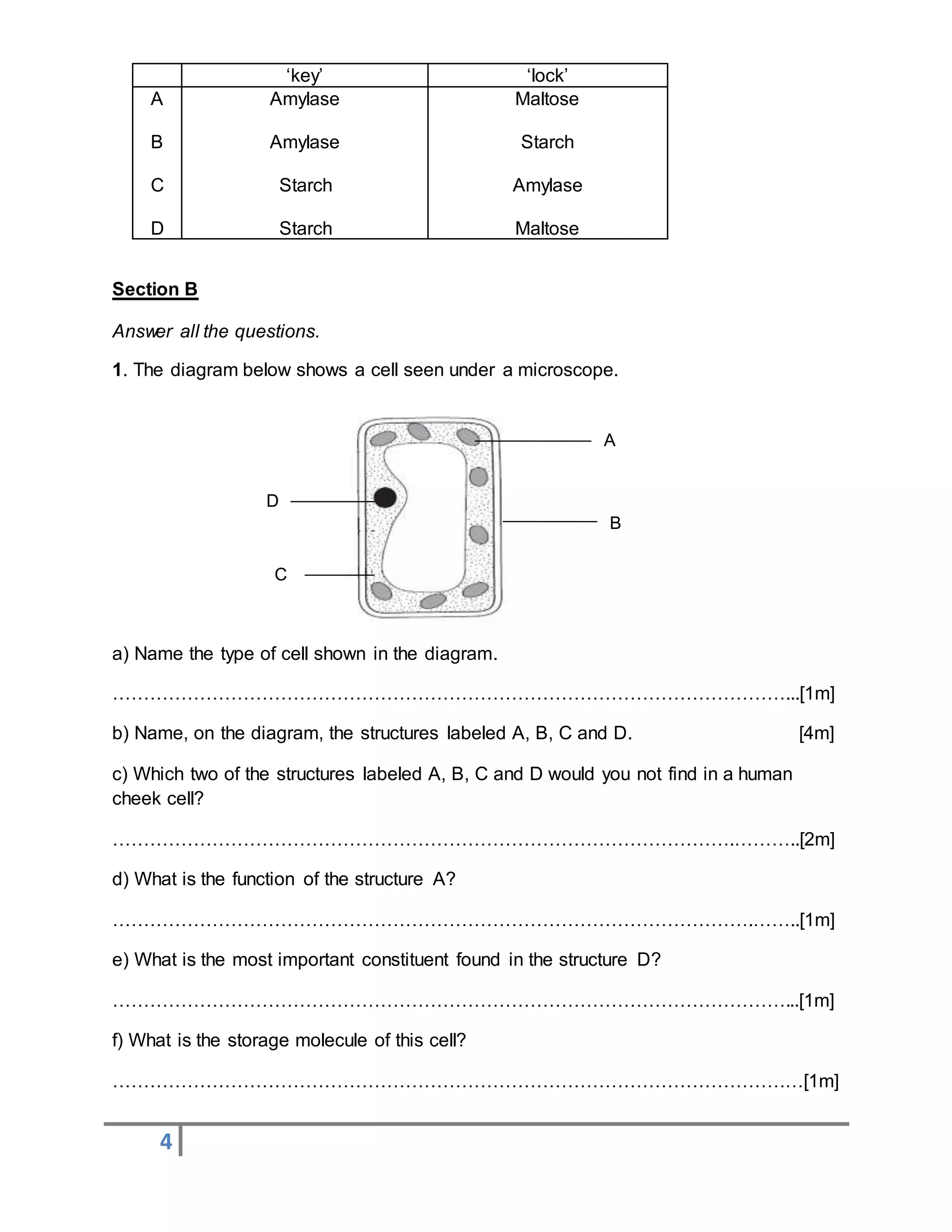 Bio mid exam gr8 | PDF