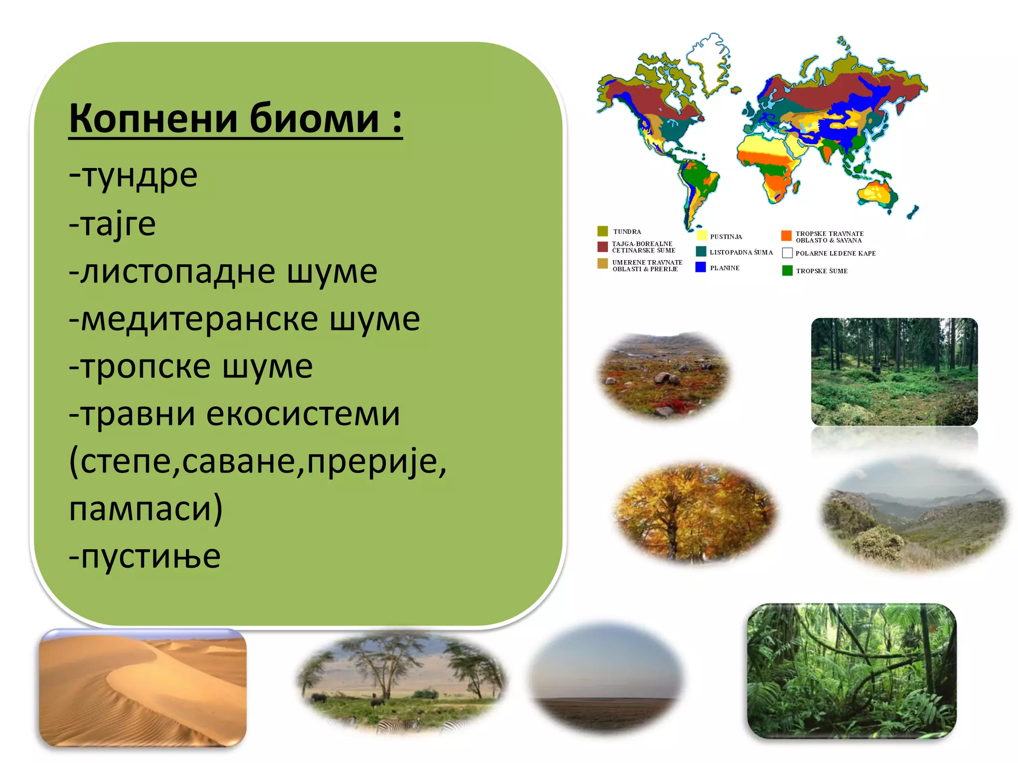 Biomi i biosfera.pdf