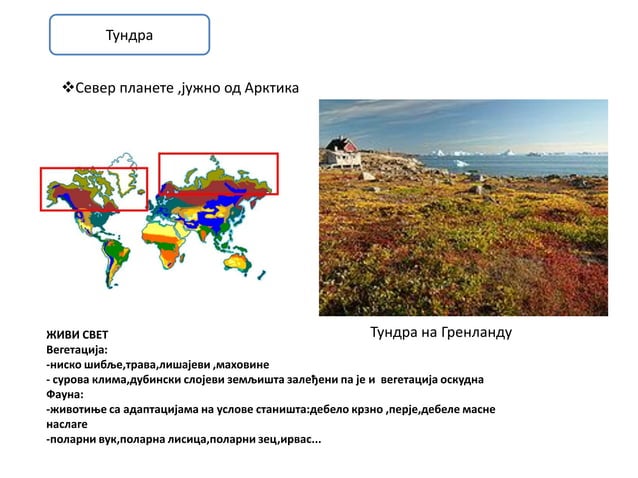Biomi i biosfera.pdf