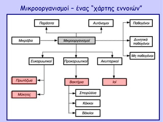 Μικροοργανισμοί | ODP