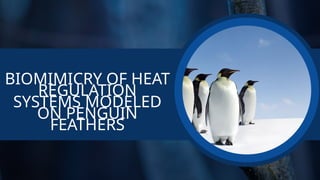 Biomimcry of Penguin Skin in Heat Regulation.pptx
