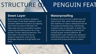 Biomimcry of Penguin Skin in Heat Regulation.pptx